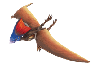 Museo Paleontologico e Parco dei Dinosauri
